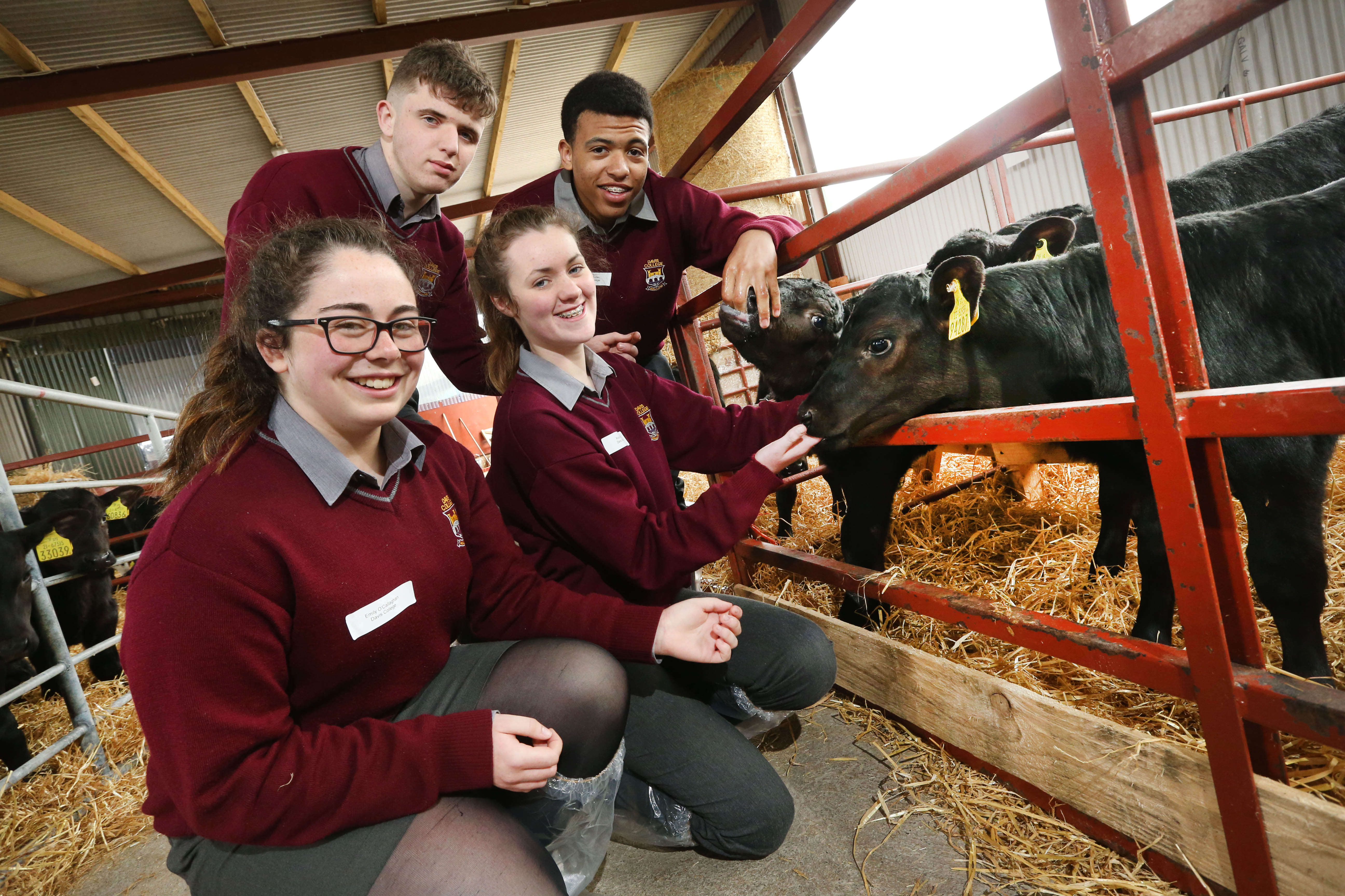 Davis College Mallow - Kepak