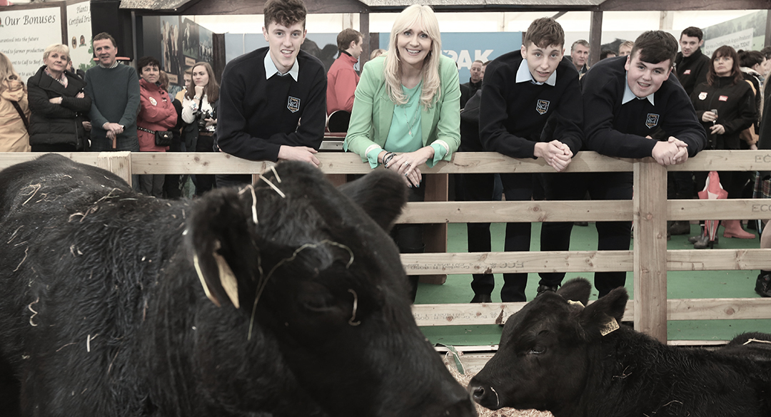 Why visit the Irish Angus Producer Group at the Ploughing? - Kepak