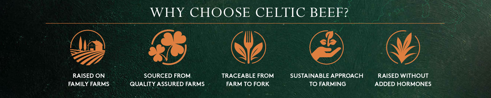 celtic-beef-icons-2 - Kepak