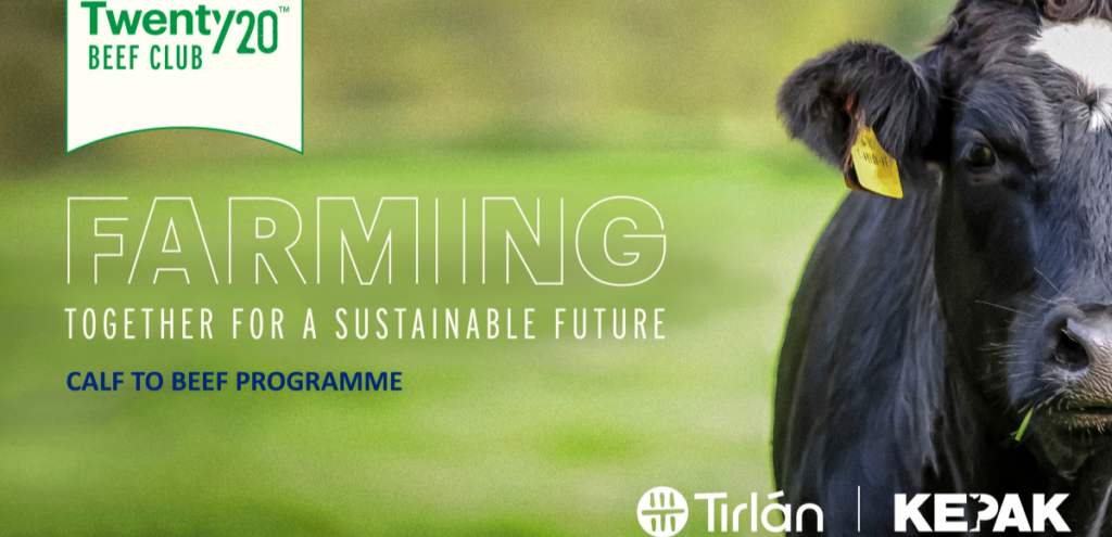 Twenty20 Beef Kepak - Kepak