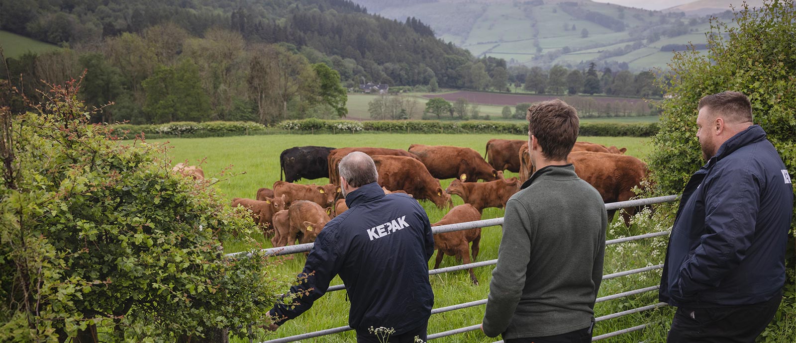 Kepak - More Than Meat